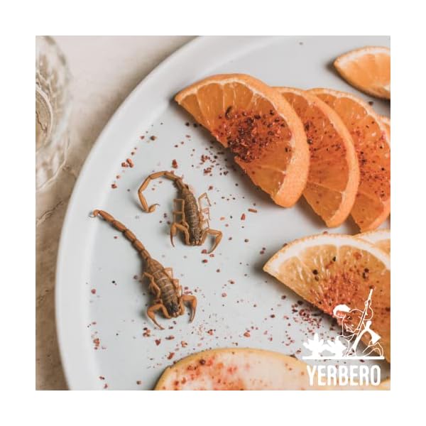 Yerbero - Authentic Premium Sal De Gusano 7oz (199gr) Agave Worm Salt ...