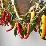 Organic Chili Pepper Wreath | The Green Head