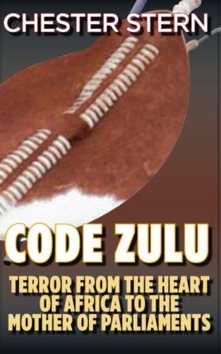 Amazon.com: Code Zulu: 9781470167028: Stern, Chester: Books