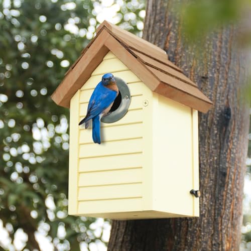 Snapklik.com : Cedar Shingles Bluebird House, Beach Hut Style Wood Bird ...