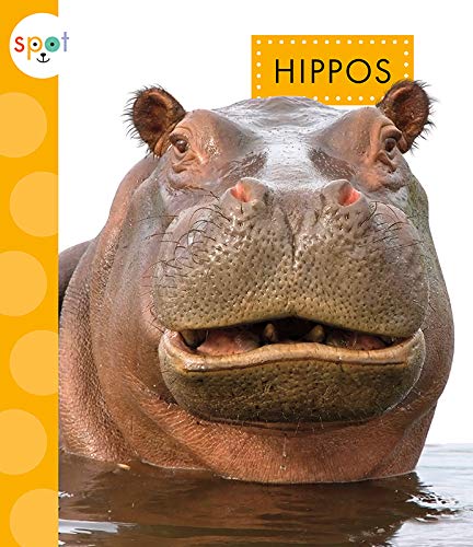 Amazon.com: Hippos (Spot African Animals): 9781681524276: Klukow, Mary ...