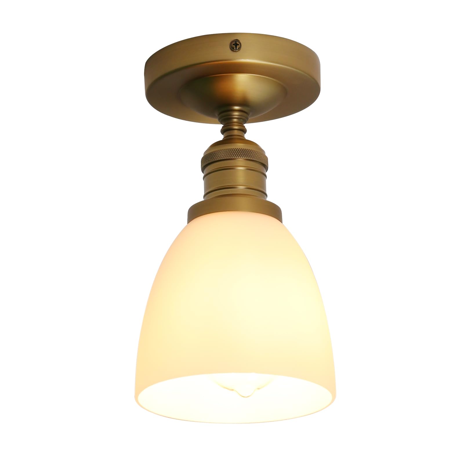 Pathson Modern Flush Mounted Ceiling Light with Milk White Glass ...