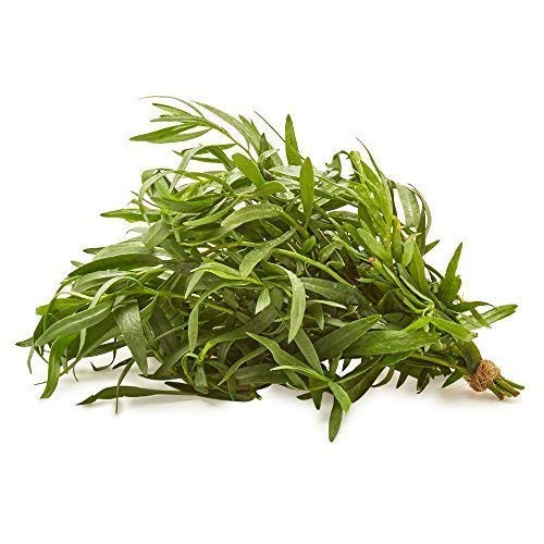 Amazon.com: SHENANDOAH GROWERS Organic Tarragon, 0.5 OZ : Grocery ...