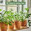 Amazon.com: Orceler 6 inch Terracotta & Clay Pots for Plants with ...
