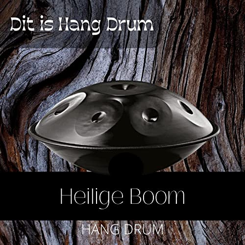 Amazon MusicでDit is Hang DrumのHeilige Boom (Hang drum)を再生する