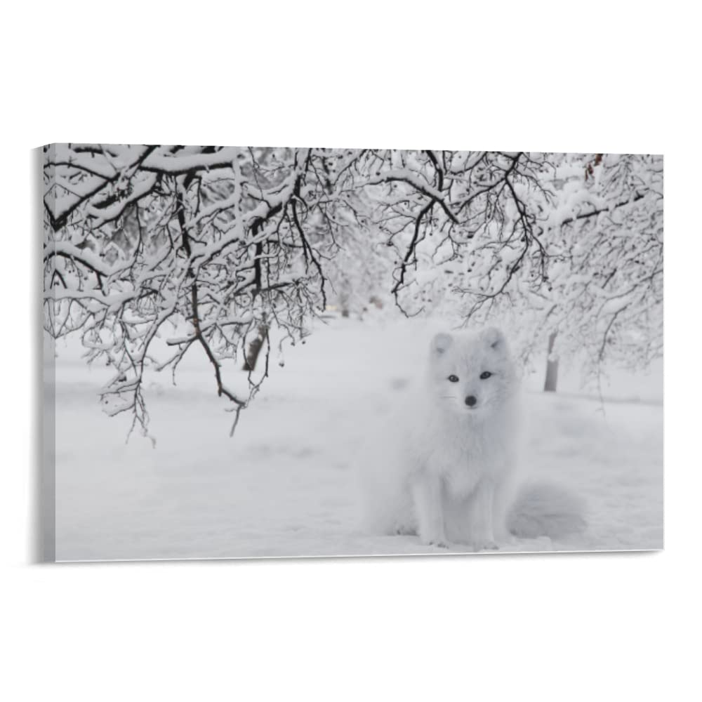 Fox Snow Mountain