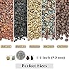 Amazon.com : FANTIAN 5 lbs Succulent Cactus Soil Potting Mix,1/4 inch ...