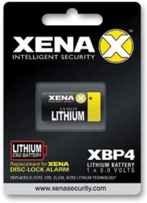 XBP4 - Xena Battery Pack for XX Models, XZZ (Lithium) and XN18 : Amazon ...