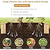 GiantexUK 300L Raised Garden Bed, Wooden Garden Planter Box with ...
