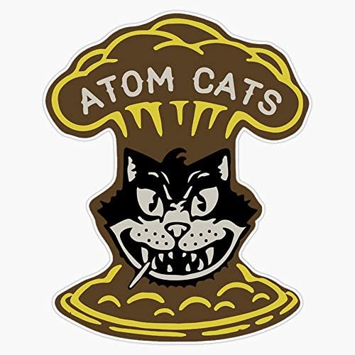 Amazon.com - Vinyl Sticker Rodeo Vault Boy Fallout Game Premium Quality ...