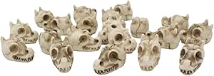 Piceioep 20Pcs Realistic Resin Skull Figures Ideal For Haunted Houses ...