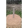 Biodegradable Tree Guards, Protect Your Trees and The Environment, Eco ...
