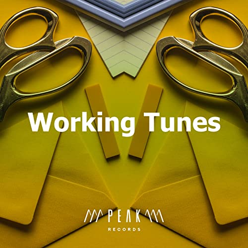 Amazon.com: Working Tunes : Work Playlist: Digital Music