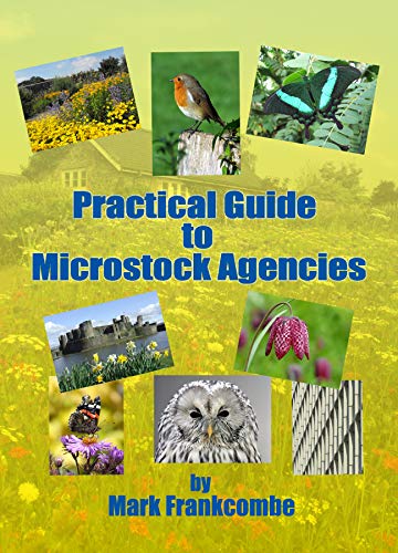 Practical Guide to Microstock Agencies (English Edition) eBook ...