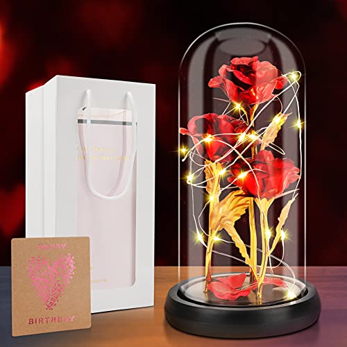 ¿Qué significa la rosa eterna de la bella y la bestia? - Mi Hogar