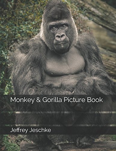 Monkey & Gorilla Picture Book: Jeschke, Jeffrey: 9781549734915: Amazon ...