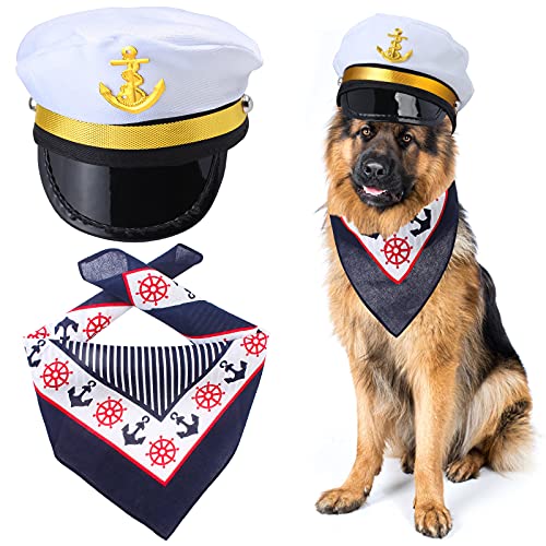 Ahoy there! Discover the top 10 Sailor Dog products to keep your furry ...