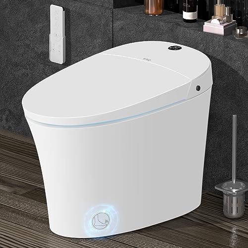 10 Best Bidet Toilets | 2024