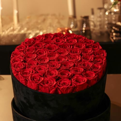 Amazon.com: 47 Flowers, Luxury Real Preserved Roses in a Suede Box ...