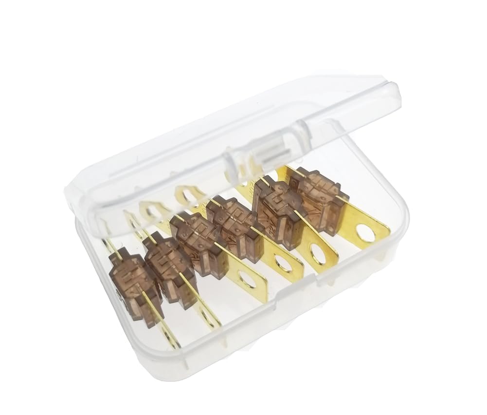 Amazon.com: 70A, 70A AML, 70A Fuse, T70A Fuse, AMI Fuse 70A, 70 amp AMI ...