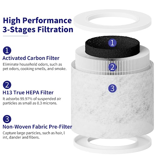 Snapklik.com : 2-Pack Core Mini-RF Replacement Filters Compatible