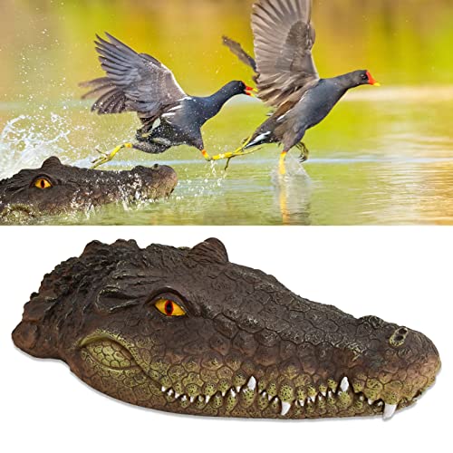 Amazon Best Sellers: Best Pond Water Spitters