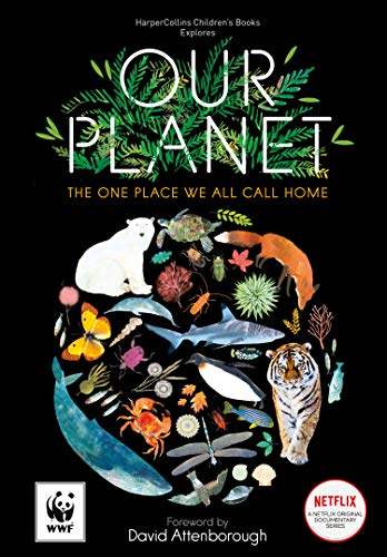 Our Planet: The official children’s companion to the Netflix ...
