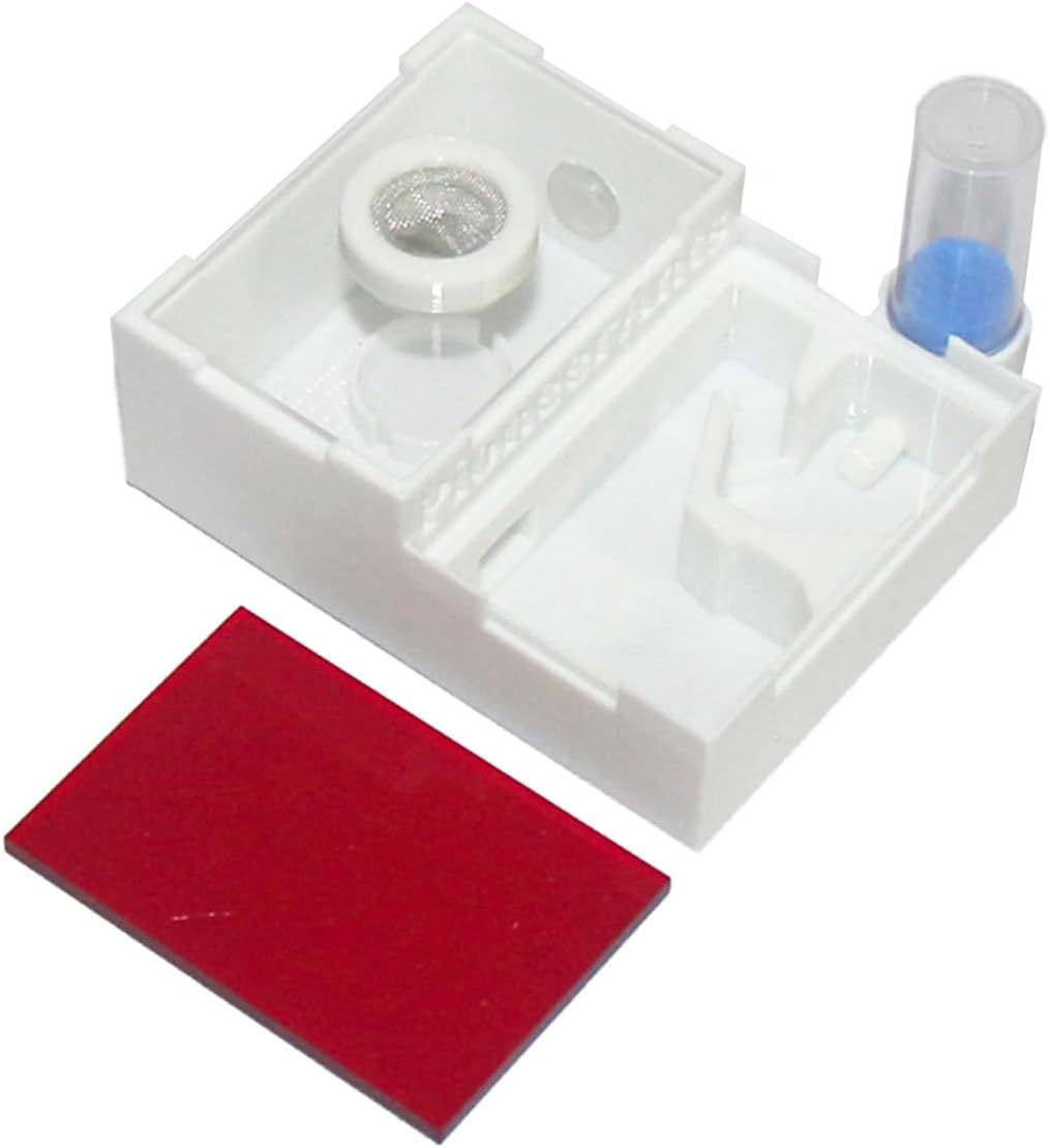 Amazon.com: Ant Nest Small Ant Farm Ant House for ant Study of Ant ...