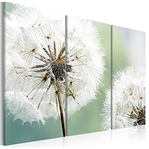 Bilder Von Pusteblumen – Die 15 besten Produkte im Vergleich - BetterFamily