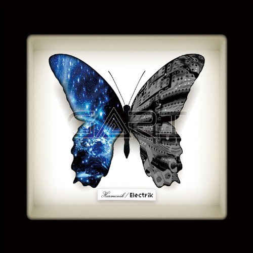 Es Cap – Die 15 besten Produkte im Vergleich - Reiterguide Ratgeber