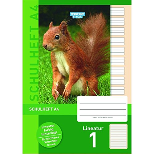 Schulheft DIN A4 Lineatur 1 liniert farbige Lineatur : Amazon.de: Spielzeug
