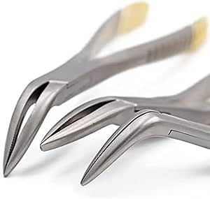 Amazon.com: 3PCS/set Dental Root Residual Fragment Forcep Minimally ...