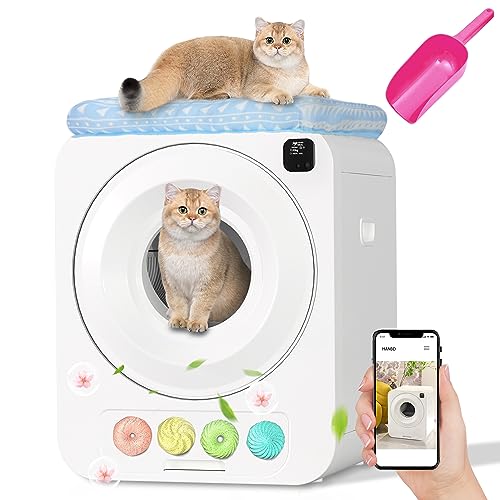 10 Smart Litterboxes Reviewed and Rated: The Ultimate Buying Guide ...