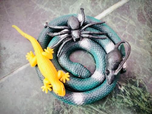 Buy Rubber Snake,Rat Lizard and Spider Combo Pack Online at Low Prices ...