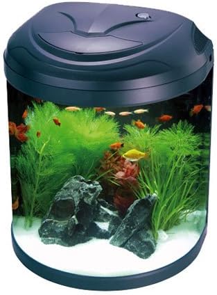 Amazon.com: Nano 180 degree Half Moon Biotope 11W Blue/White Combo CF ...
