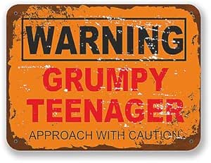 Amazon.com: 2 x Grumpy Teenager Warning Sign Vinyl Stickers : Automotive