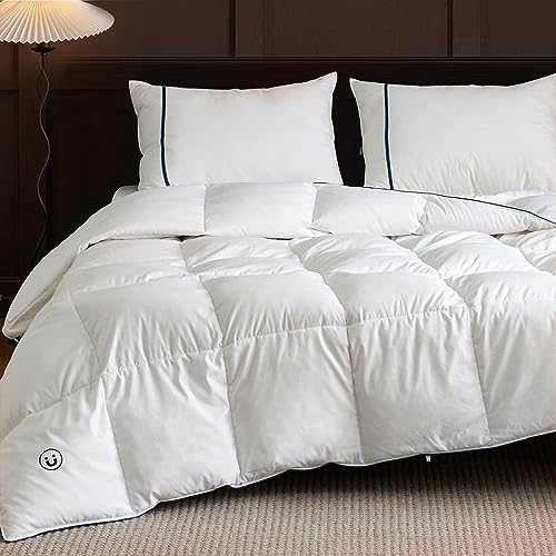 Bedsure Down Comforter Queen Size - All Season Down Duvet Insert Queen ...