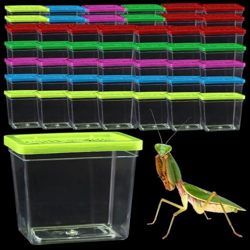Amazon.com : 48 Pack Small Plastic Reptile Carrier Tarantula Enclosure ...