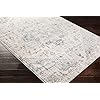 Amazon.com: BoutiqueRugs Orrick Oriental Boho Vintage Area Rug ...