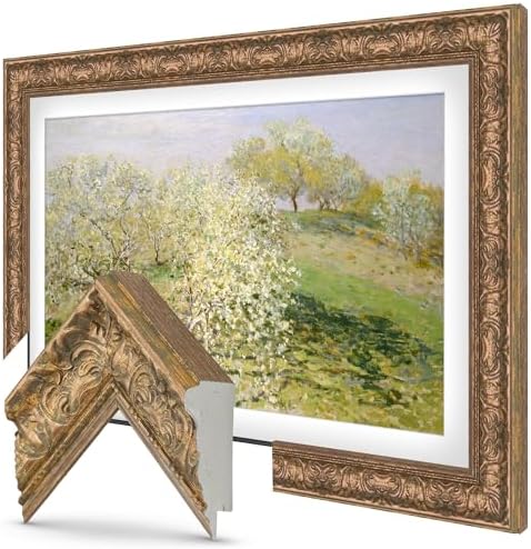 The Little Blue Fly's Amazon Page