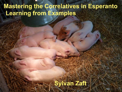 Mastering the Correlatives in Esperanto: Learning from Examples eBook ...