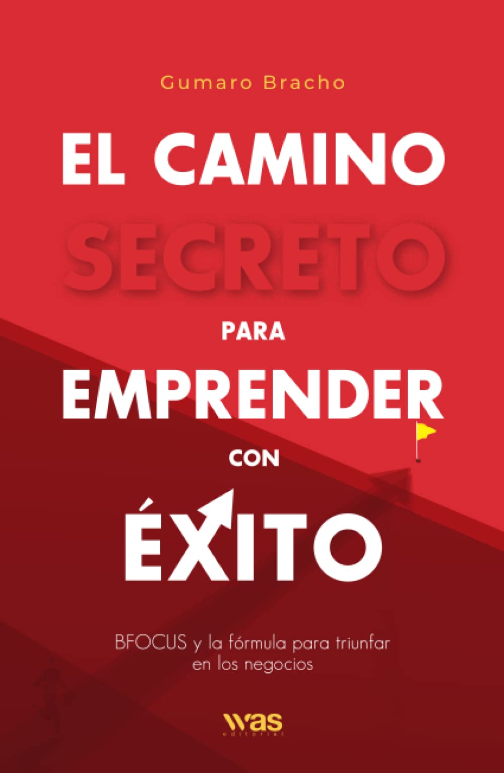 Amazon.com: El camino secreto para emprender con éxito: BFOCUS y la ...