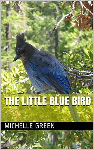 The Little Blue Bird - Kindle edition by Green, Michelle. Children ...