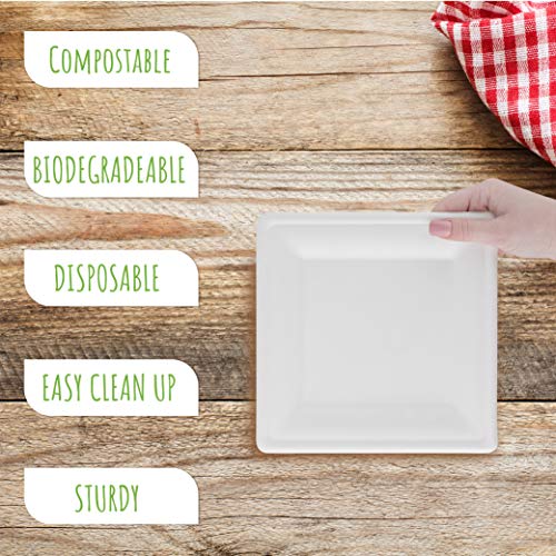 Snapklik.com : Brheez 8 Inch Disposable Plates Paper Plates Alternative ...