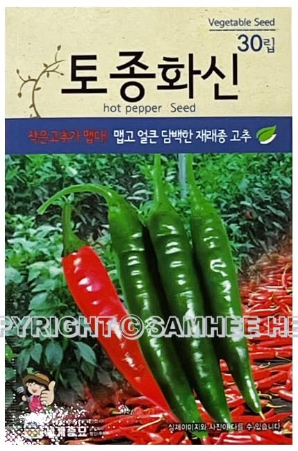 Amazon.com: Chili Pepper Plant Seeds Korean, 1 Packs, 2Grams (청양고추 ...