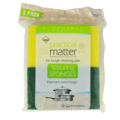 Amazon.com: Practical Matter, Scouring Sponges- 2 Ea (2 Pack) : Health ...