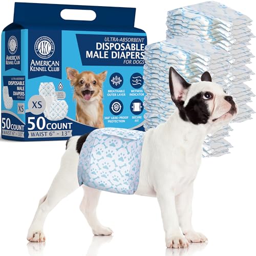 10 Best Male Dog Wraps