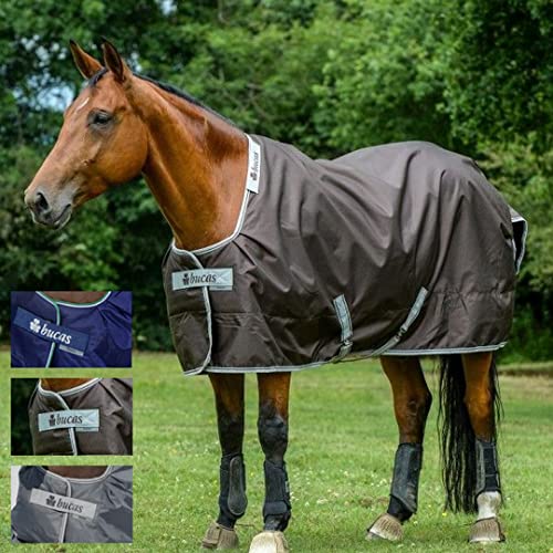 Bucas Smartex – Die 16 besten Produkte im Vergleich - Haustierratgeber ...