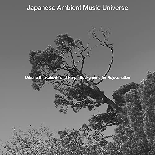 Urbane Shakuhachi and Harp - Background for Rejuvenation de Japanese ...