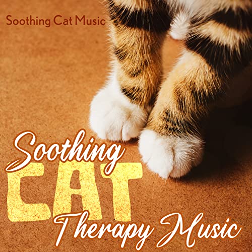 Amazon Music - Soothing Cat MusicのSoothing Cat Therapy Music - Amazon.co.jp
